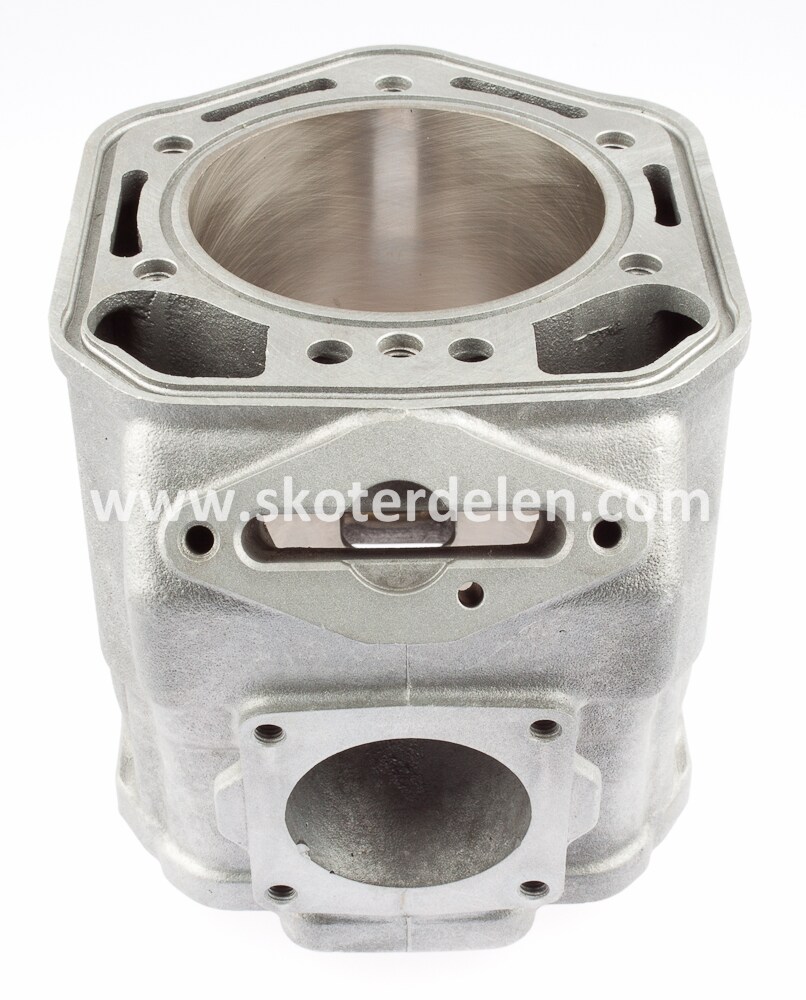 Cylinder utbytes till Ski-Doo, Lynx, Rotax 800